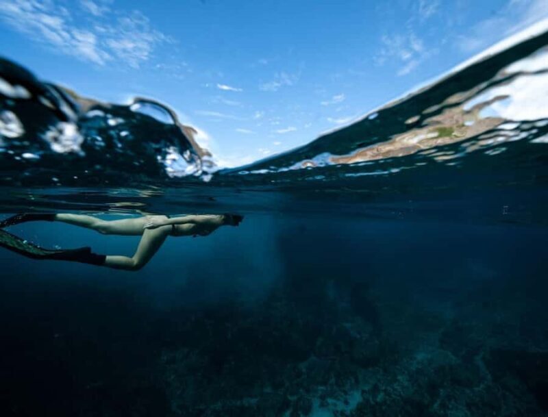 Byron Bay: Snorkeling Tour at Julian Rocks, Nguthungulli - Final Thoughts