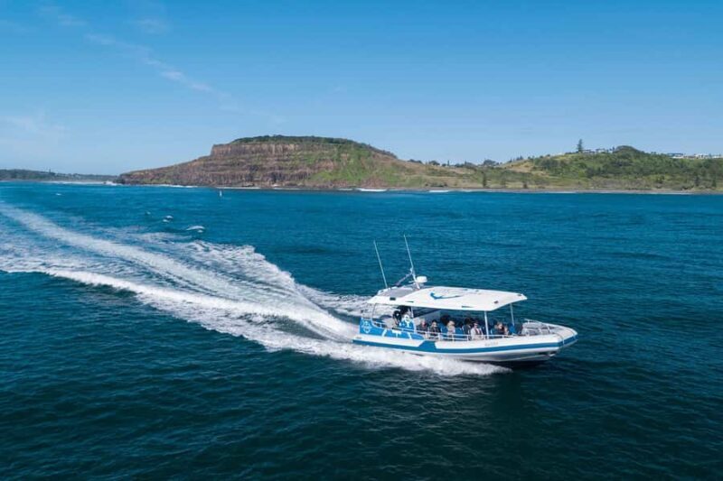 Byron Bay: Whale Watching Cruise with a Marine Biologist - Deep Dive into the Highlights