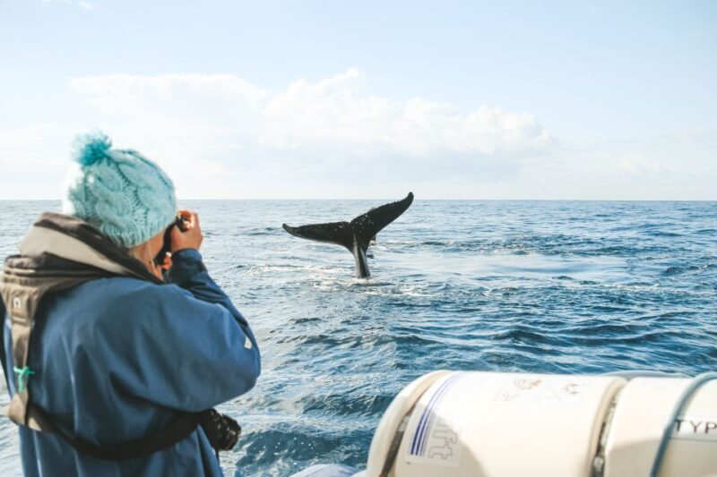 Byron Bay: Whale Watching Cruise with a Marine Biologist - FAQs