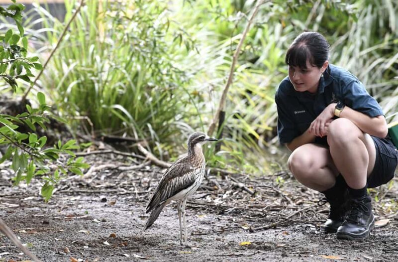 Byron Bay Wildlife Sanctuary Entry Ticket - Final Thoughts