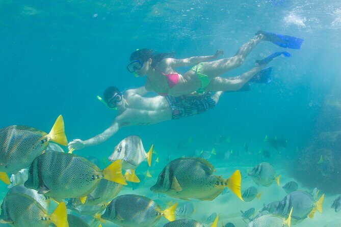 Cabo Arch Glass Bottom Boat: Hotel PICKUP, Arch & Lovers Beach - FAQ: Your Practical Questions Answered