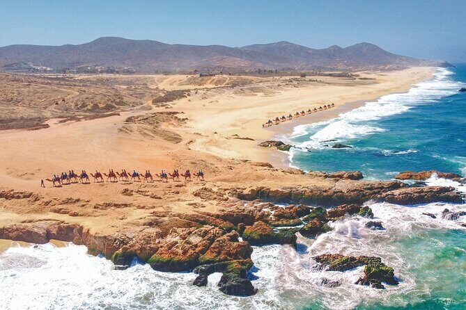 Cabo ATV Adventure with Camel and Horseback Ride - FAQ