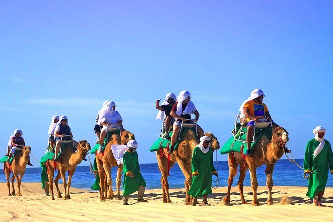 Cabo Camel and Safari Ride - What to Expect from the Cabo Camel and Safari Ride