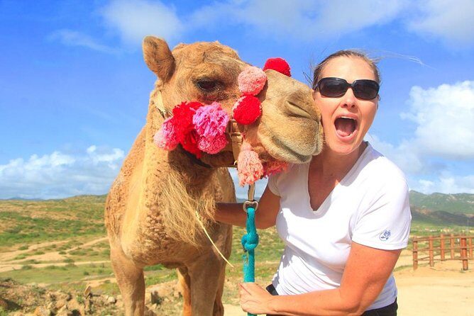 Cabo Camel and Safari Ride - Who Should Consider This Tour?