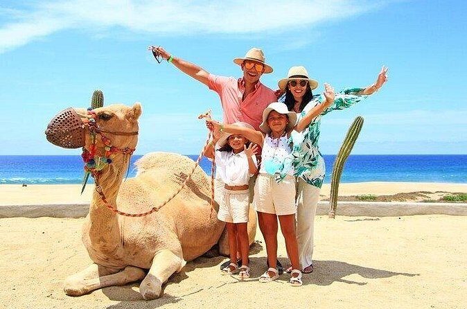 Cabo Camel Ride: Beach Safari, Tequila Tasting & Buffet - The Sum Up