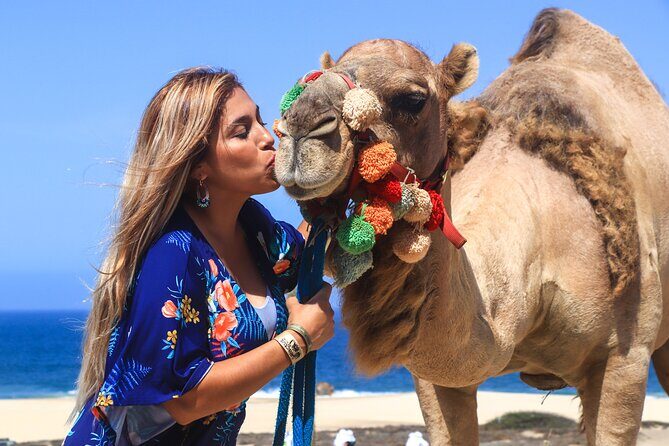Cabo Camel Ride Experience - A Closer Look at the Cabo Camel Ride Experience