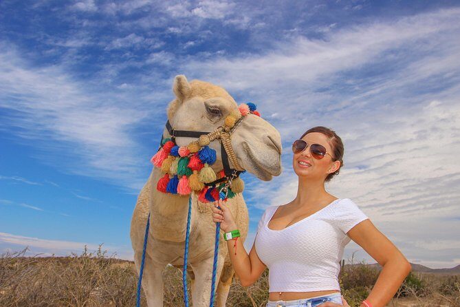 Cabo Camel Ride, Mexican Buffet and Tequila Tasting - Practical Tips for Your Trip