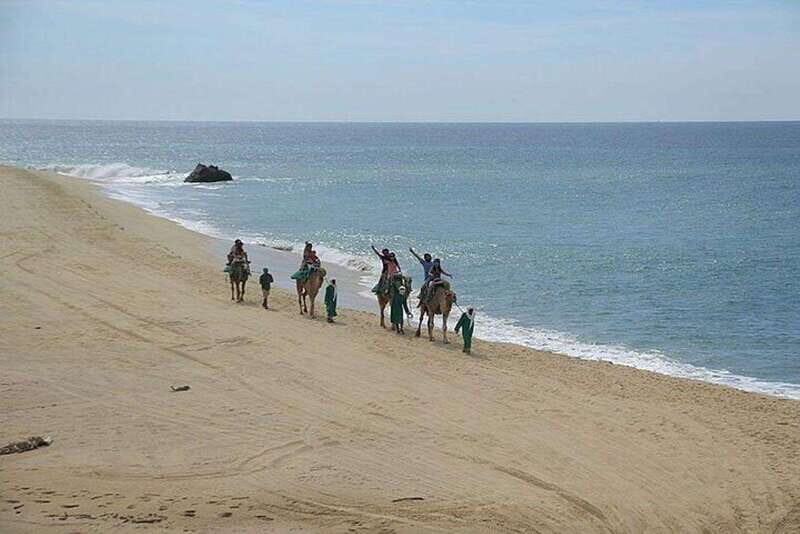 Cabo: Camel Ride On The Beach - A Scenic Ride with a Cultural Twist
