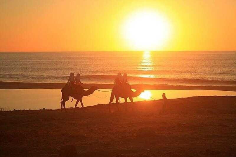 Cabo: Camel Ride On The Beach - Who Should Consider This Tour?