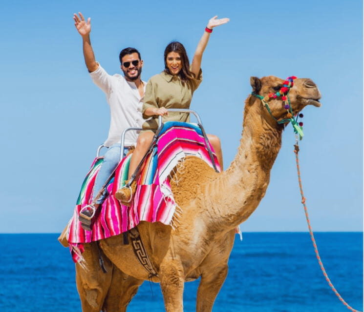 Cabo: Camel Safari Adventure with Tacos - Final Thoughts: Who Is This Tour For?