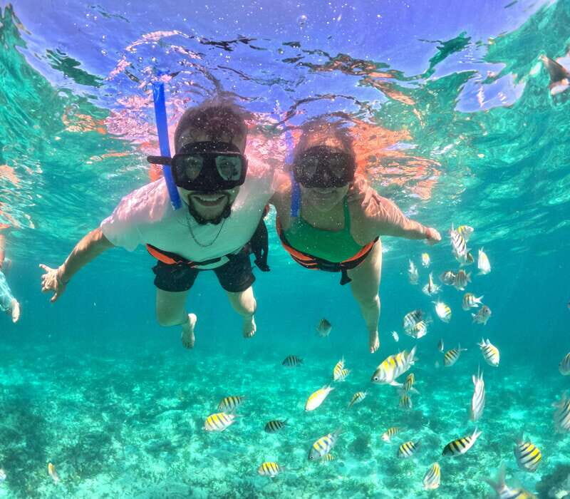 Cabo Catamaran Cruise  Arch, Snorkeling, Open Bar & Snacks - Who Will Love This Tour?