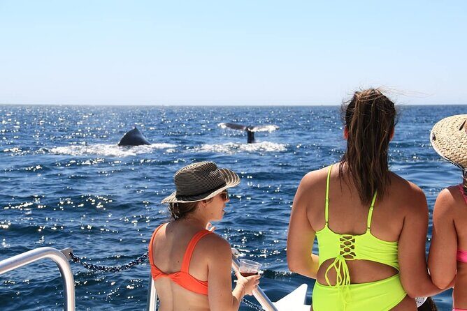 Cabo Catamaran Snorkeling Tour & Coastal Views - FAQs