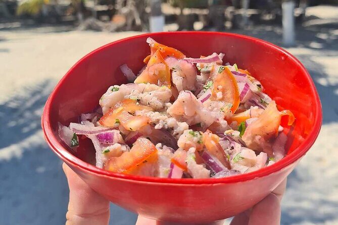 Cabo Catoche Tour with Fishing, Snorkeling and Ceviche - Detailed Breakdown of the Itinerary