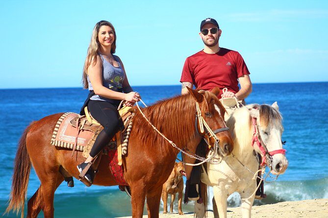 Cabo Desert Off-Road & Beach Horseback Combo and Tequila Tasting - Who Should Book This Tour?