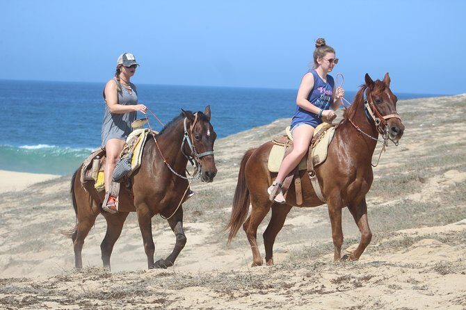 Cabo Desert Off-Road & Beach Horseback Combo and Tequila Tasting - Final Thoughts