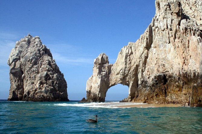 Cabo Encounter with Optional Clear Boat and Lunch - The Value of This Tour