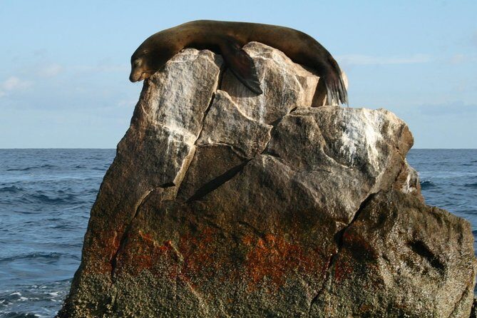 Cabo Encounter with Optional Clear Boat and Lunch - The Sum Up