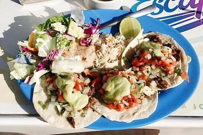 Cabo Escape Snorkel Fun Cruise - Final Thoughts: Is It Worth It?