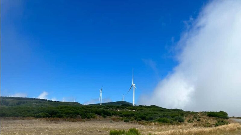 Cabo Girão, Seixal, Porto Moniz & more  Full Day + PickUp - Frequently Asked Questions