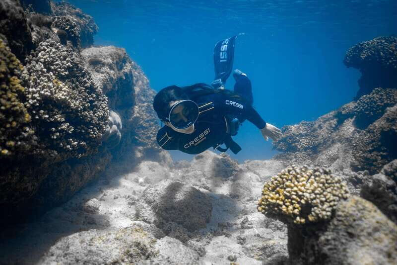 Cabo: Half-Day Kayak & Snorkel to Santa Maria & Chileno Bay - Final Thoughts