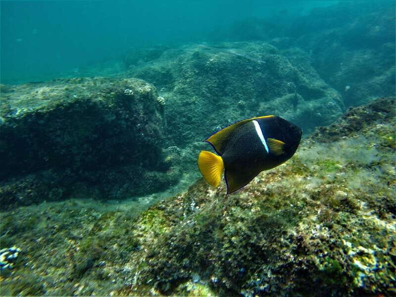 Cabo: Hidden Beach Day with Snorkeling in the Sea of Cortez - Frequently Asked Questions