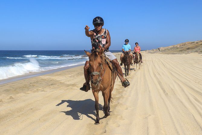 Cabo Horseback Riding on Migriño Beach - Who Is This Tour Best For?
