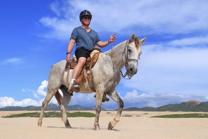 Cabo Horseback Riding on Migriño Beach - The Sum Up