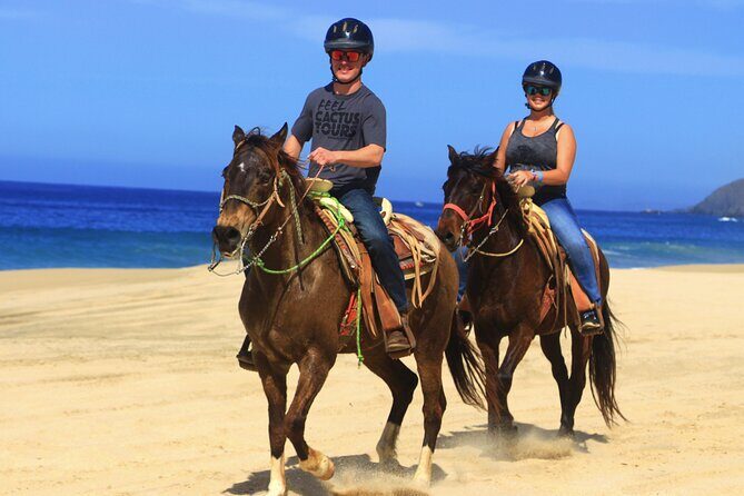 Cabo Horseback Riding on Migriño Beach - FAQ