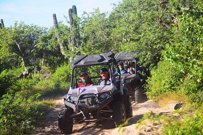 Cabo Migrino Beach & Desert Tour (Triple UTV) - Final Thoughts