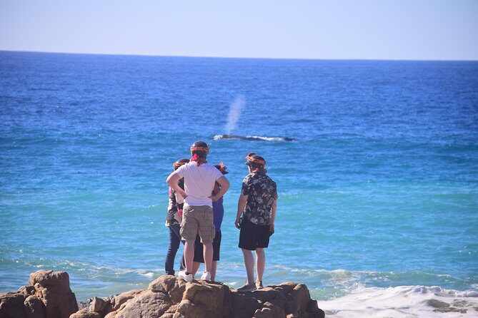 Cabo Original Real Baja 1000 Tour (Single ATV) - Pricing and Value