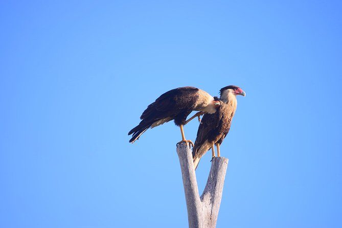 Cabo Original Real Baja 1000 Tour (Single ATV) - Final Thoughts: Is It Worth It?