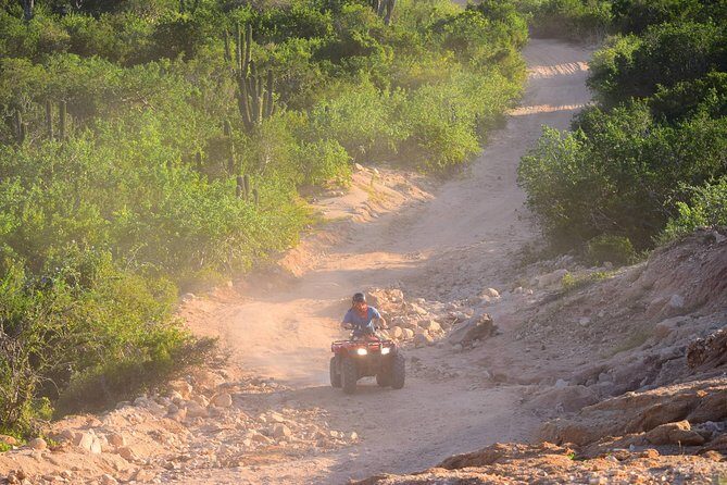 Cabo Original Real Baja 1000 Tour (Single ATV) - FAQ