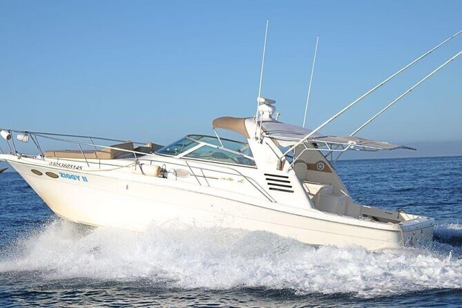 Cabo Private 36ft Yacht  Scenic Cruise & Relaxation - Key Points