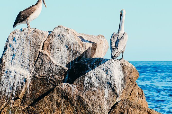 Cabo Private Catamaran, Chill Experience with Sup and float mat - Who Will Love This Experience?