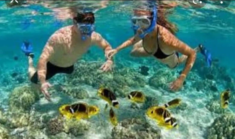 Cabo: Private Yacht Tour, Water Activities, Lunch & Drinks - Group Size and Accessibility