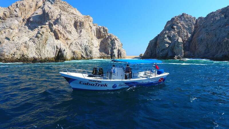 Cabo San Lucas: 2.5-Hour Whale Watching Tour - Guides and Their Expertise