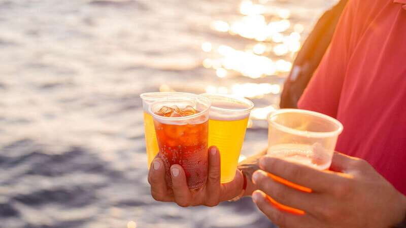 Cabo San Lucas: 2 Hour Sunset Cruise with Food and Wine - What to Expect from the Sunset Cruise Experience