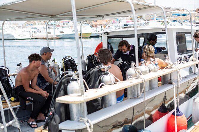 Cabo San Lucas 2 Tank Scuba Diving - Wrapping It Up: Who Will Love This Tour?