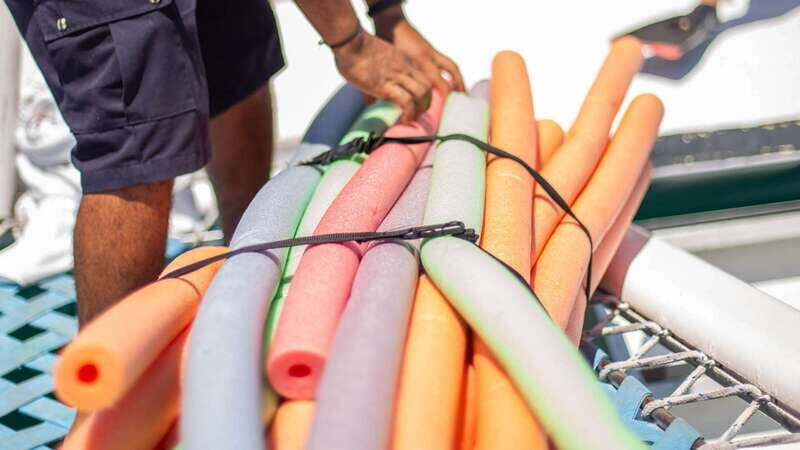 Cabo San Lucas: 4-Hour Snorkeling Cruise with Open Bar - The Sum Up