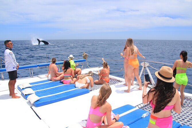 Cabo San Lucas All-Inclusive Private Catamaran Snorkeling Cruise - Final Thoughts