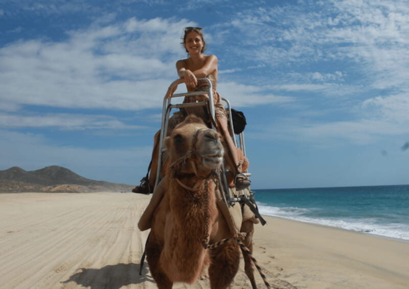 Cabo San Lucas: Amazing Camel Adventure on the Beach - Discovering the Experience