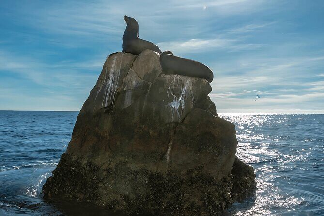 Cabo San Lucas Arch & City Tour: Glass-Bottom Boat & Tequila - Final Thoughts: Is It Worth It?