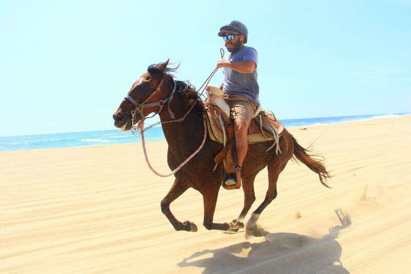Cabo San Lucas: ATV/Camel/Horse Combo Tour - The Landscape and Scenery