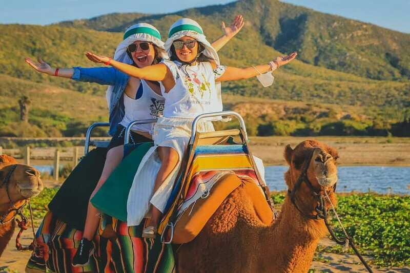 Cabo San Lucas: ATV/Camel/Horse Combo Tour - The Sum Up