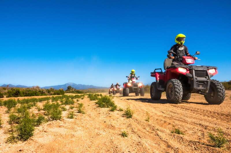 Cabo San Lucas: ATV Desert Tour with Mexican lunch - What to Expect from Your Cabo ATV Desert Adventure