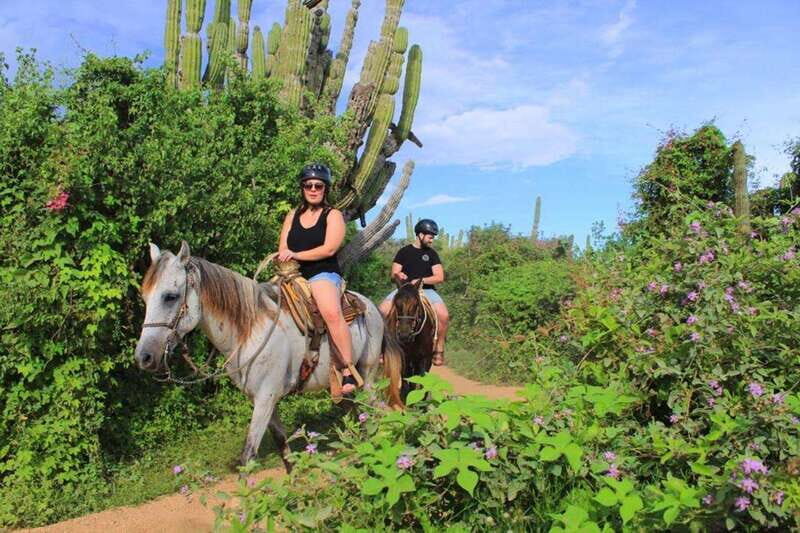 Cabo San Lucas: Beach & Desert Horseback Riding Tour - Practical Details and Value
