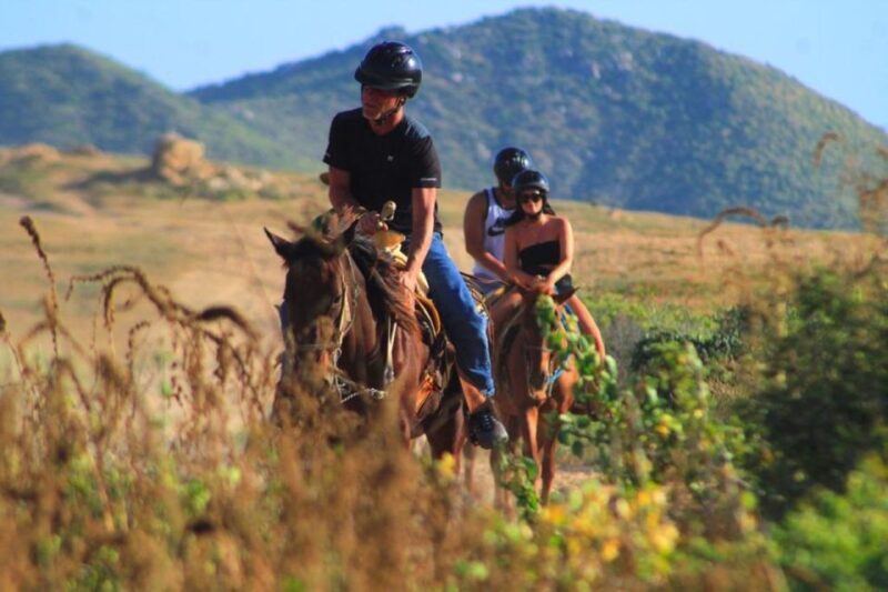 Cabo San Lucas: Beach & Desert Horseback Riding Tour - Who Will Love This Tour?
