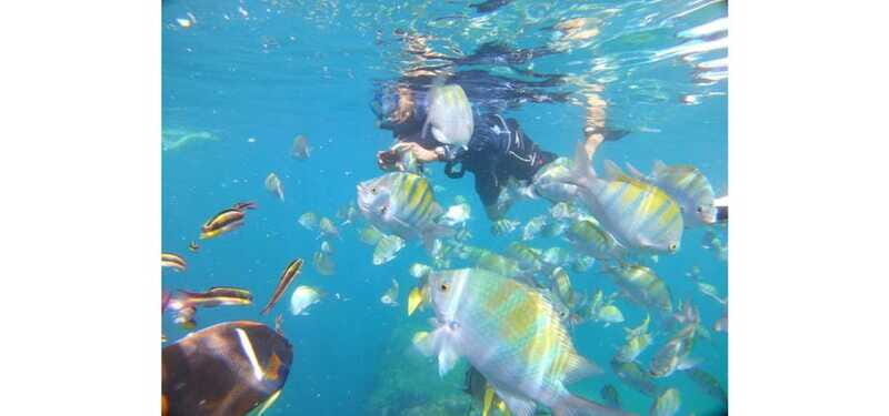 Cabo San Lucas: Beach Hopper Small-Group Snorkeling Tour - The Sum Up