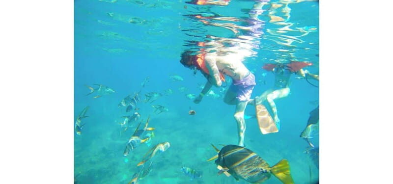 Cabo San Lucas: Beach Hopper Small-Group Snorkeling Tour - FAQ