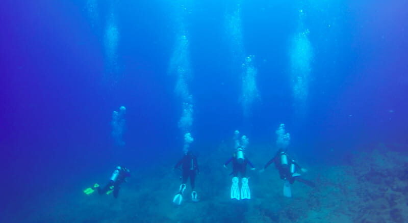 Cabo San Lucas: Beginners Diving Experience w/ Water & Snack - Review Highlights & Authentic Insights
